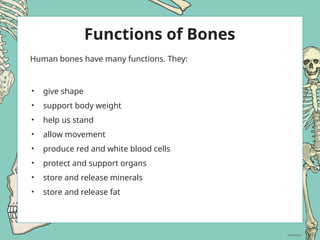 Types of Bones in the Human Body and to some living things.pptx