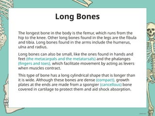 Types of Bones in the Human Body and to some living things.pptx