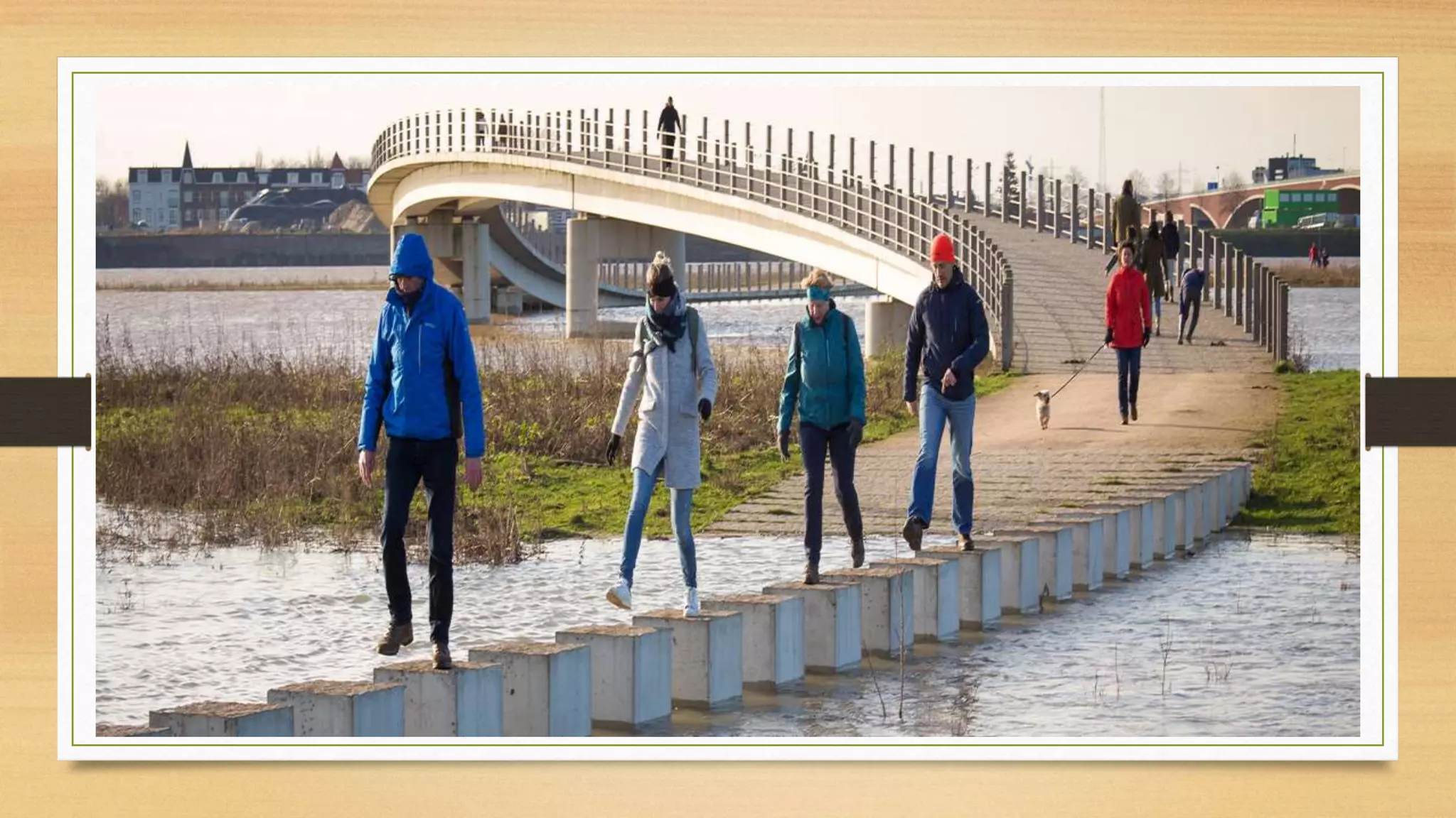 Types of Bridge and Bridge Failure | PPTX