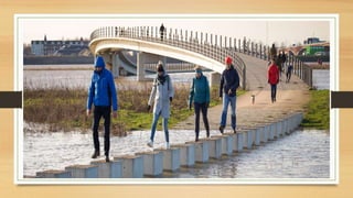 Types of Bridge and Bridge Failure | PPTX