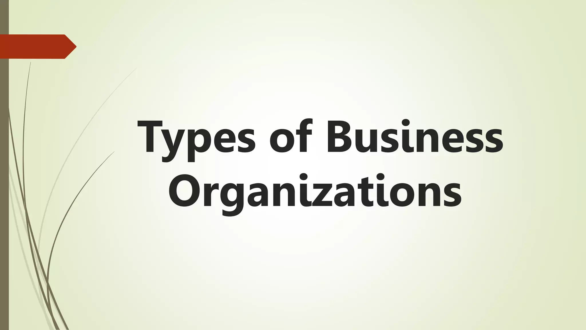 Types of Business Organisation.pptx