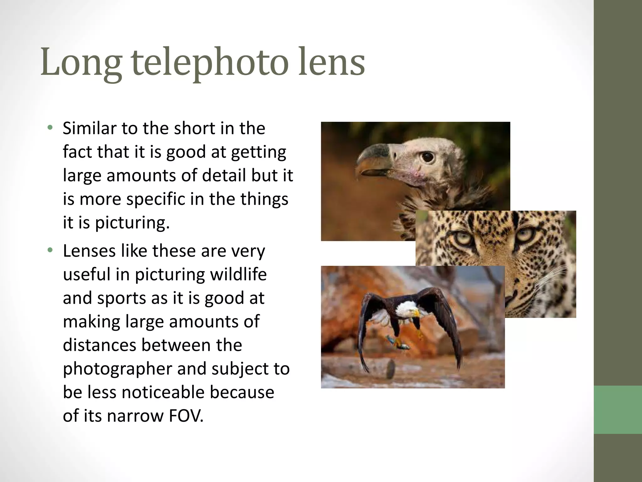 Types of camera lenses and shots | PPTX | Cameras and Camcorders ...