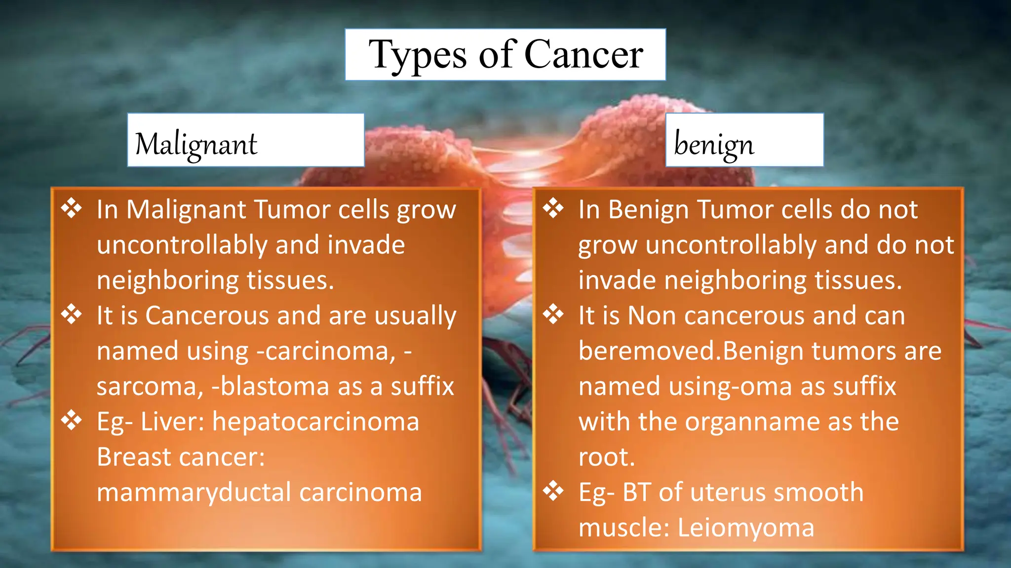Types of Cancer its intro and difference between normal and cancerous ...