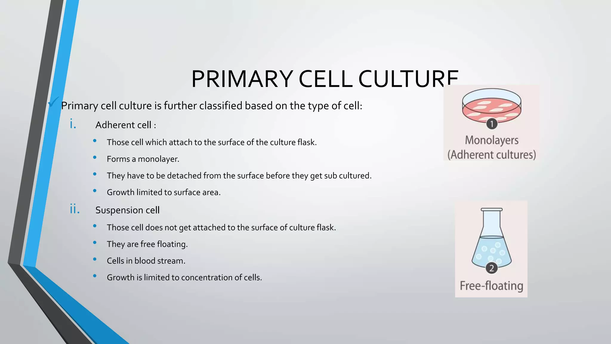 Types of cell culture | PPTX