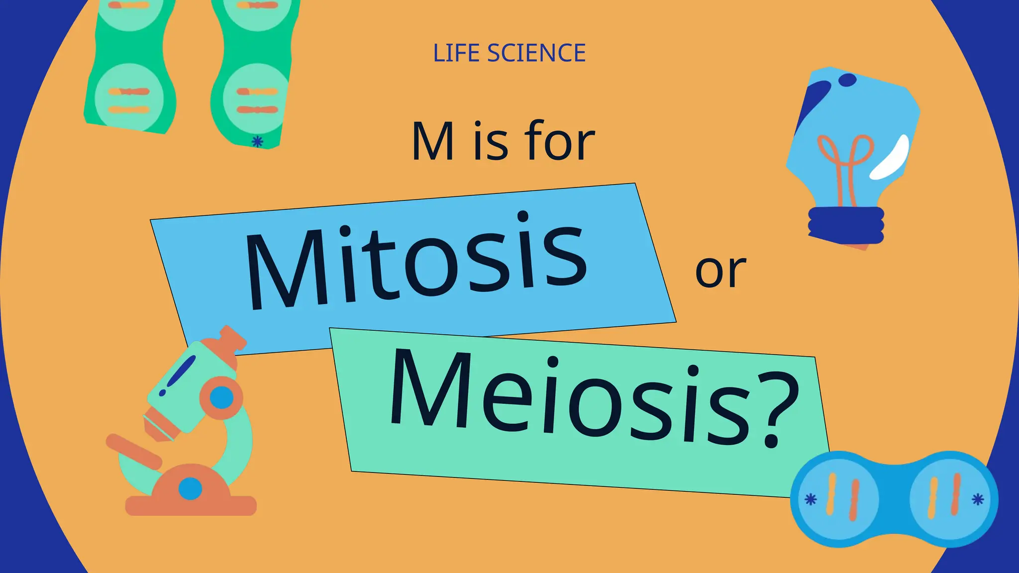 Types of Cell Division Mitosis and Meiosis.pptx