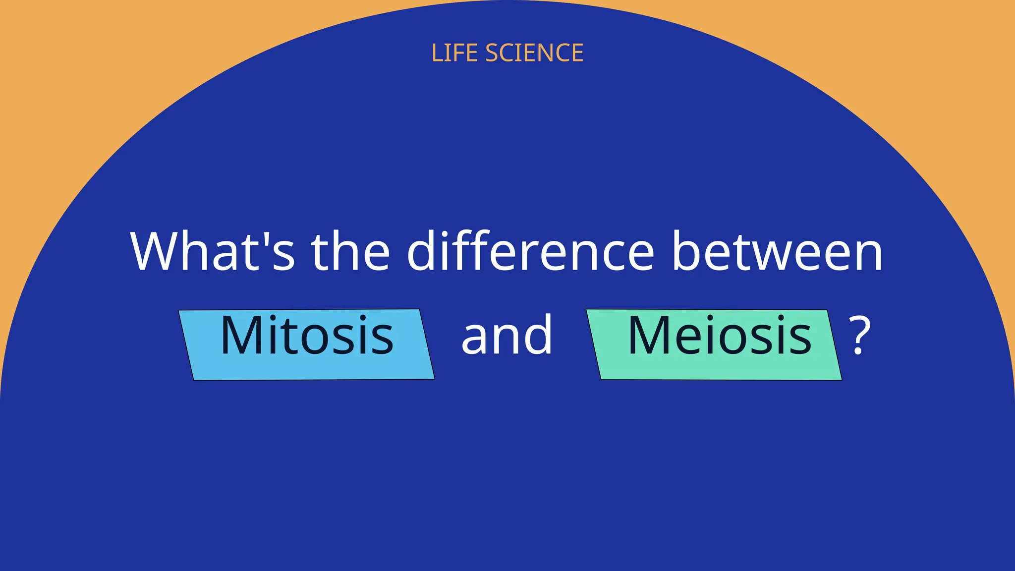 Types of Cell Division Mitosis and Meiosis.pptx