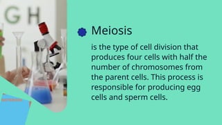 Types of Cell Division Mitosis and Meiosis.pptx