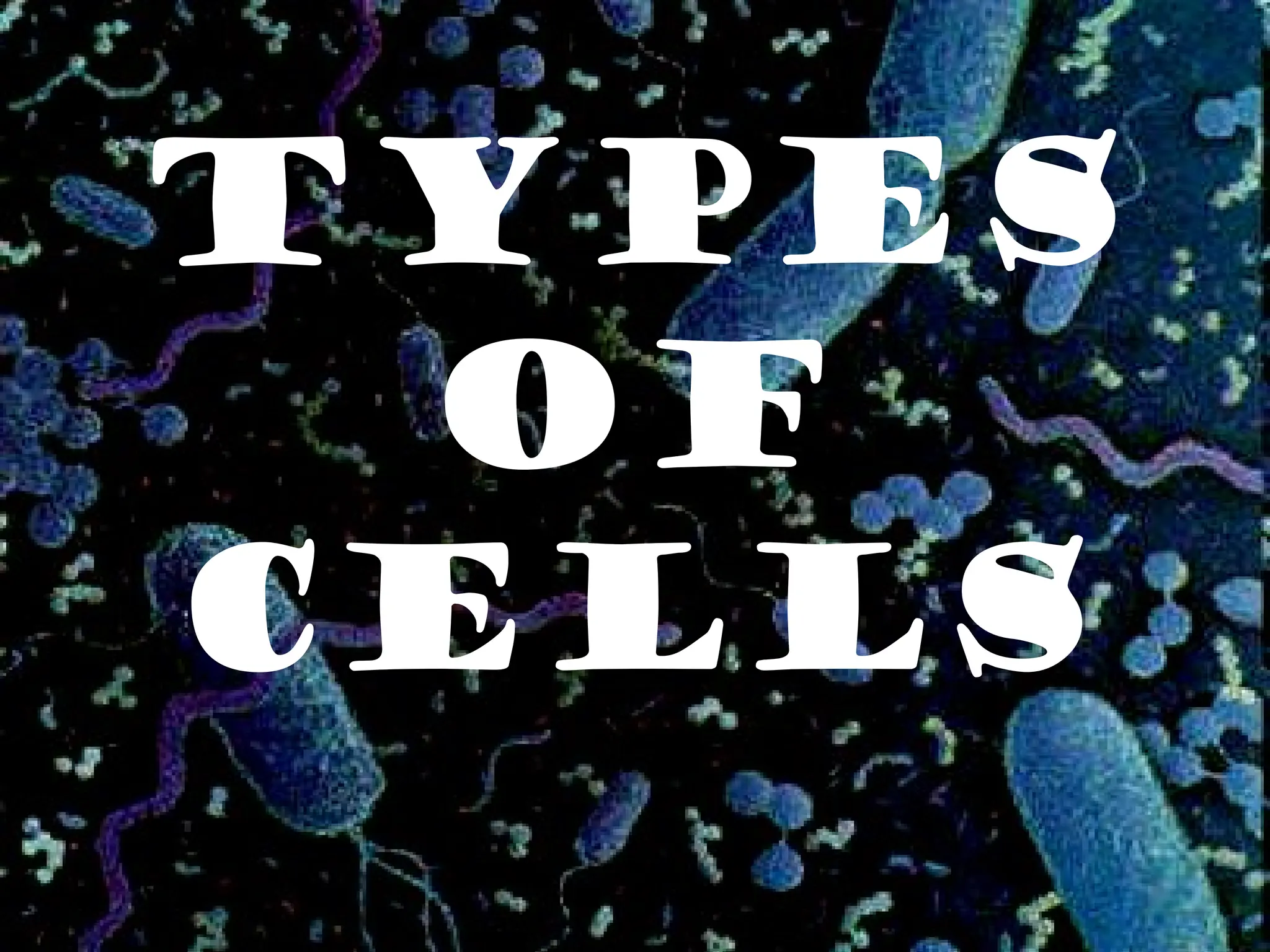 Grade 7 Science Types and parts of cells .ppt