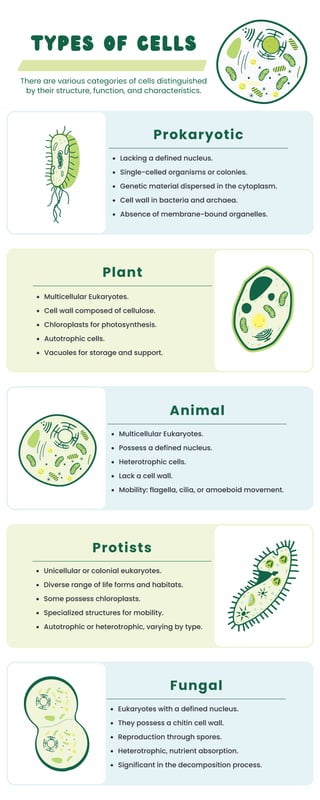 Types of Cells - Poster | PDF