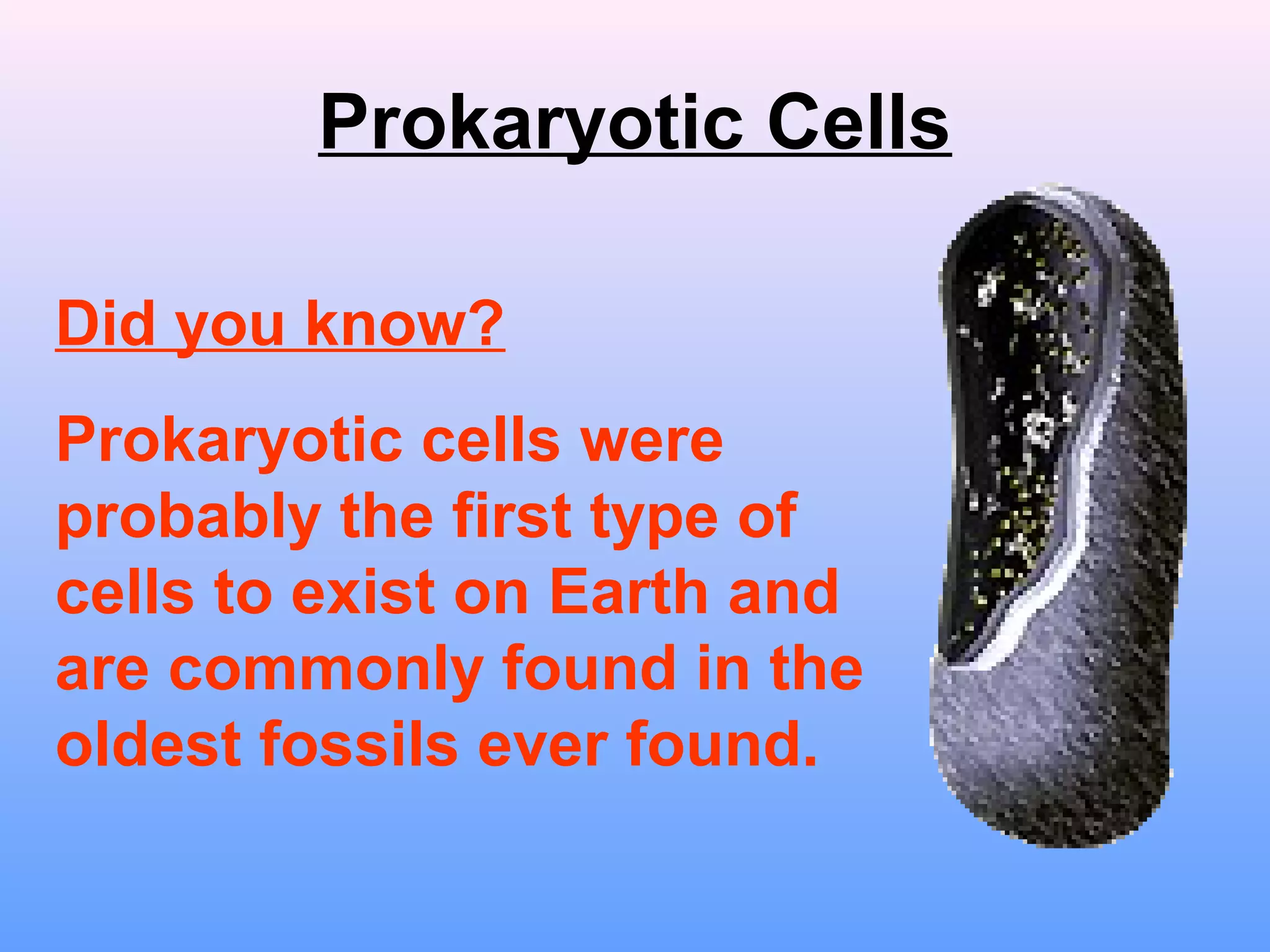 Types of cells prokaryotic and eukaryotic | PPT | Biological Sciences ...