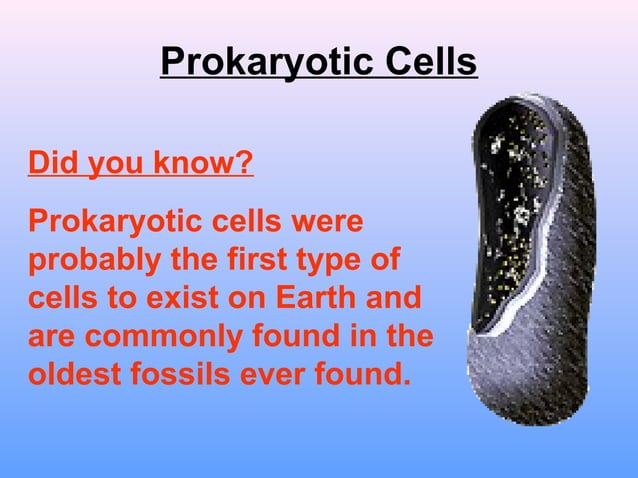 Types of cells prokaryotic and eukaryotic | PPT
