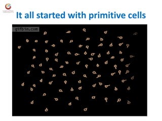 Types of cells and tissues | PPTX