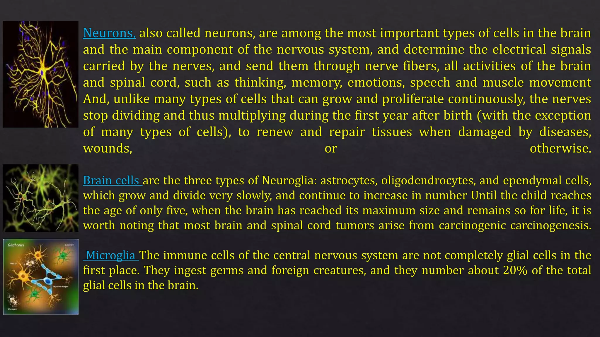Types of cells and tissues of the brain | PPTX