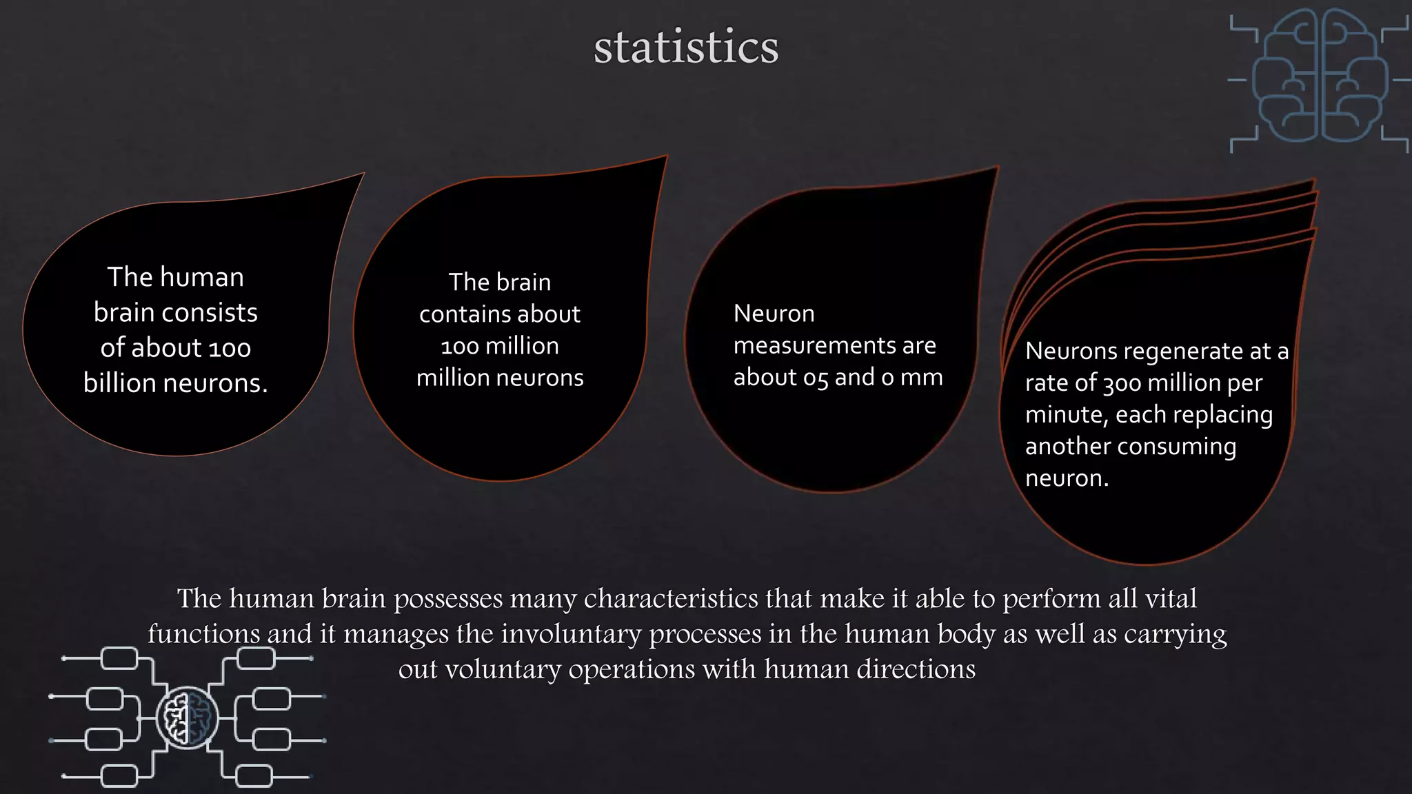 Types of cells and tissues of the brain | PPTX