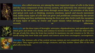 Types of cells and tissues of the brain | PPT