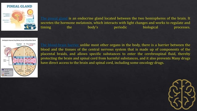 Types of cells and tissues of the brain | PPTX