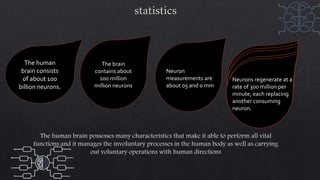 Types of cells and tissues of the brain | PPT