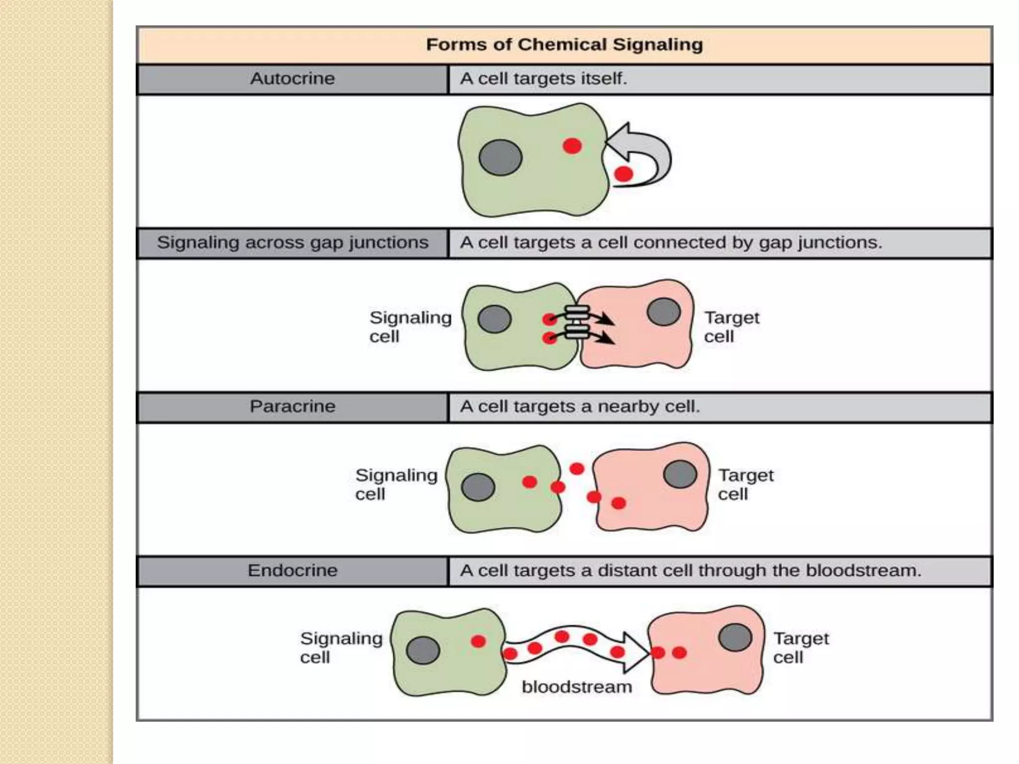 Cell Signalling And Types | PPTX