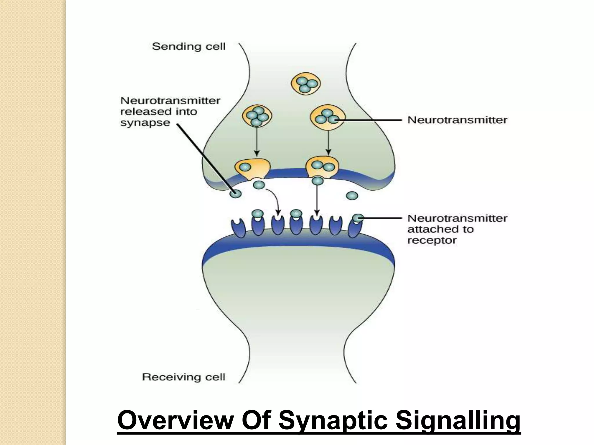 Cell Signalling And Types | PPTX