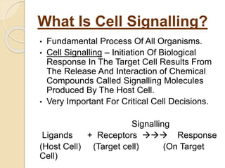 Cell Signalling And Types | PPTX