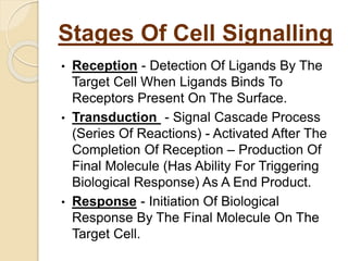 Cell Signalling And Types | PPTX