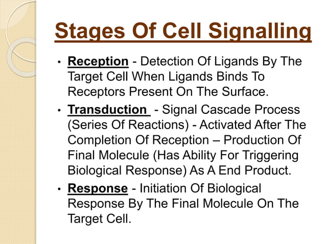Cell Signalling And Types | PPTX | Endocrine and Metabolic Diseases ...