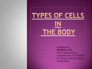 Types of cells in the body class 8 | PPTX