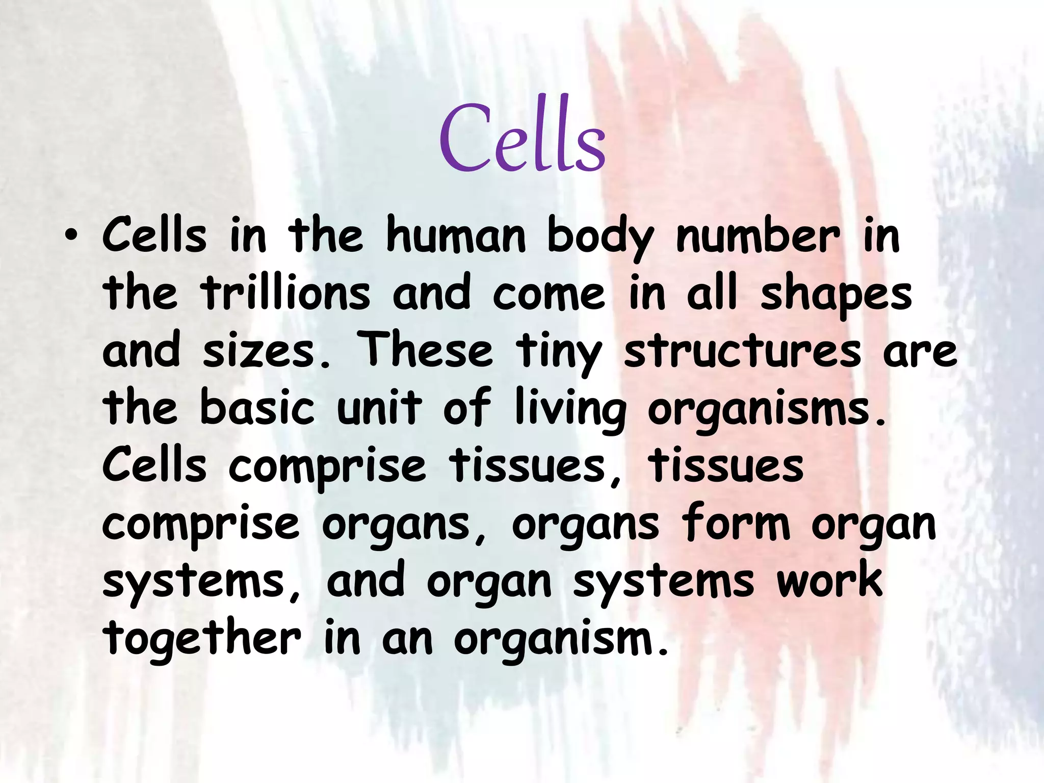 Types of Cells in the Body | PPSX