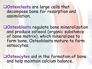 Types of Cells in the Body | PPSX | Bone and Joint Conditions ...
