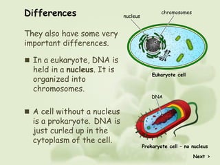 Types of cells notes ppt | PPTX