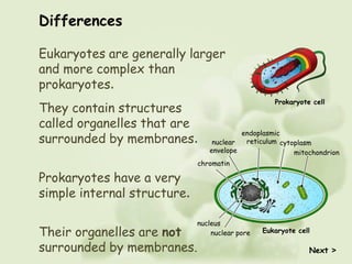 Types of cells notes ppt | PPTX