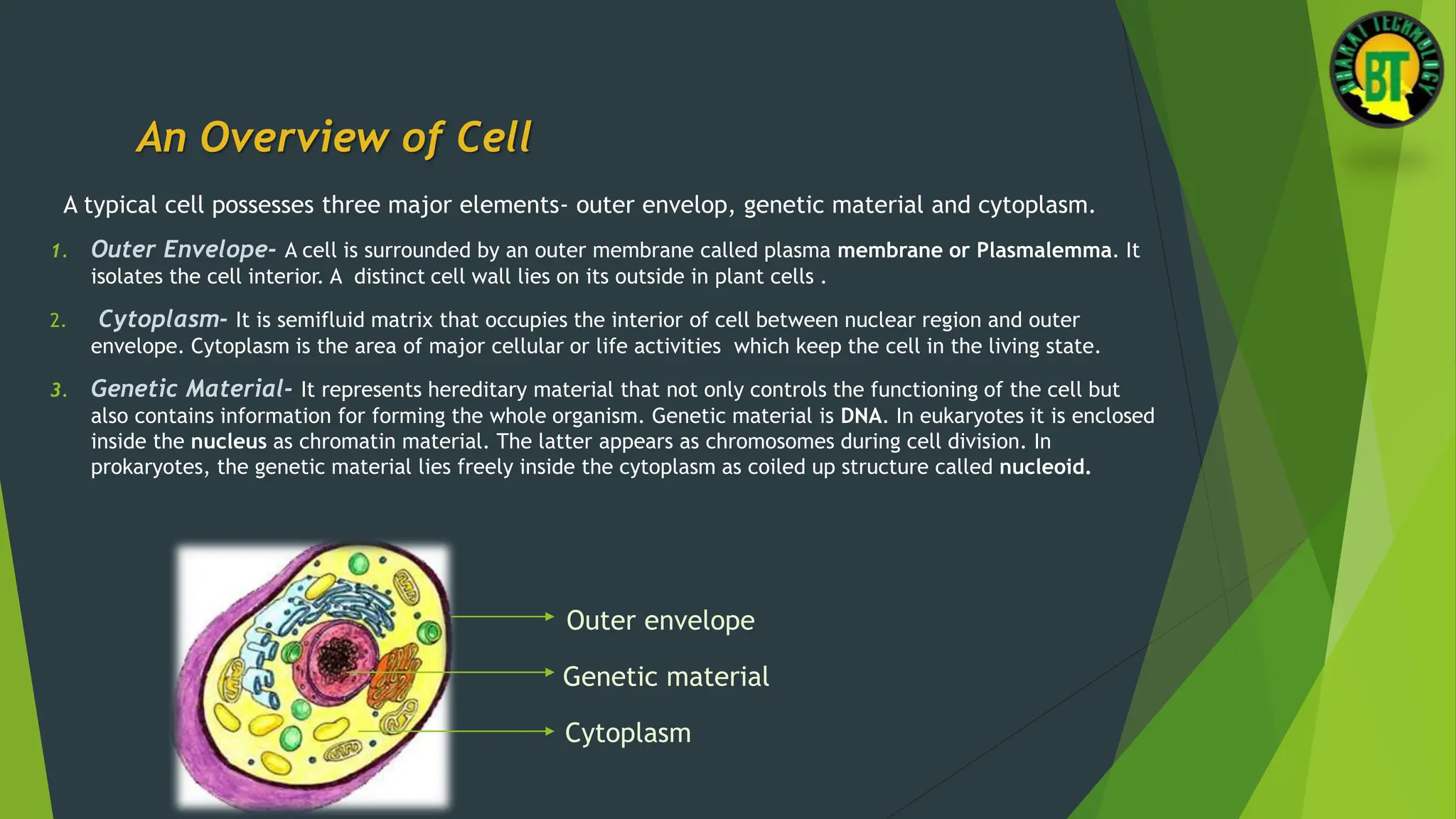 TYPES OF CELL somnath.pptx
