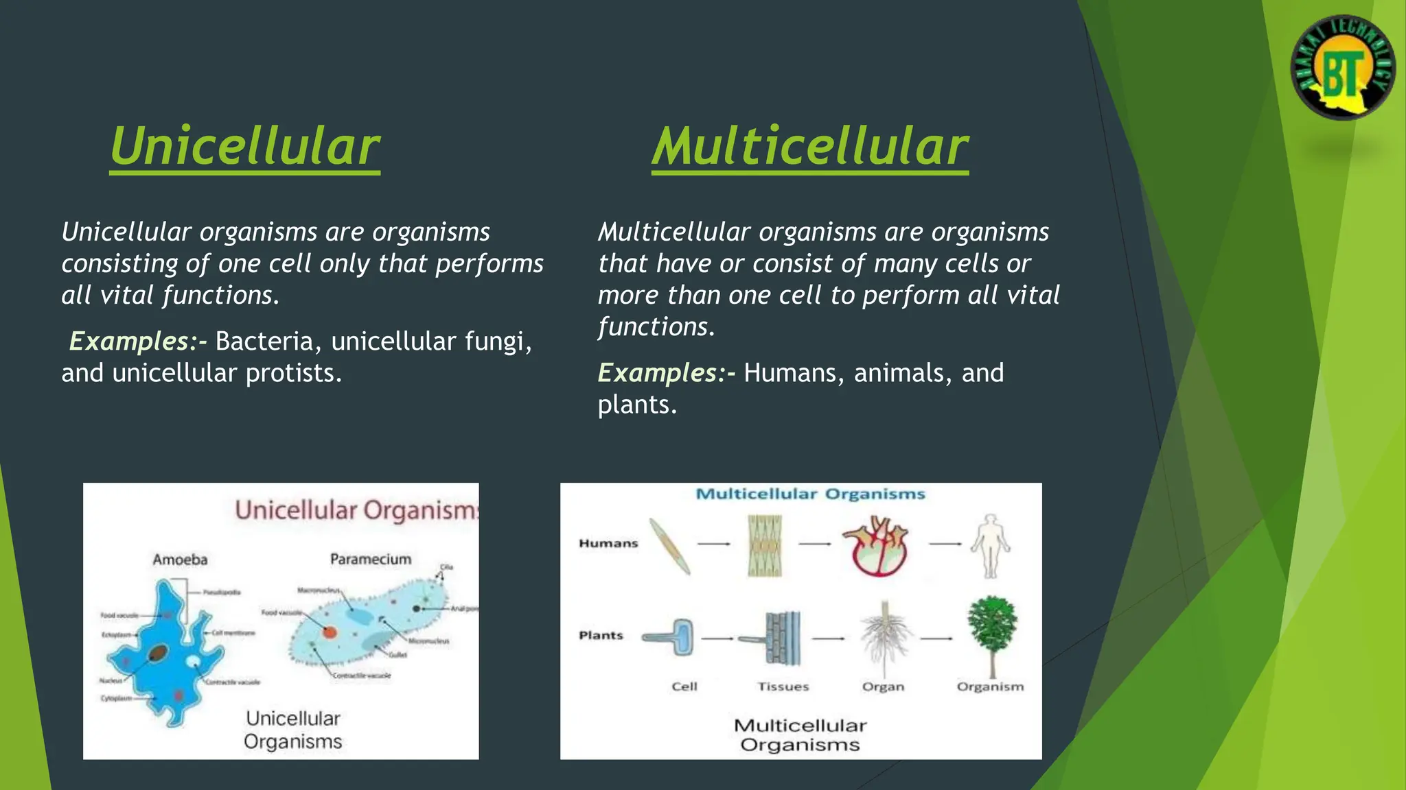 TYPES OF CELL somnath.pptx