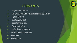 TYPES OF CELL somnath.pptx