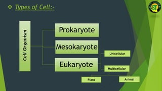 TYPES OF CELL somnath.pptx