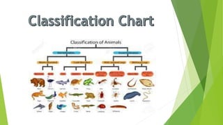Types of Charts | PPTX