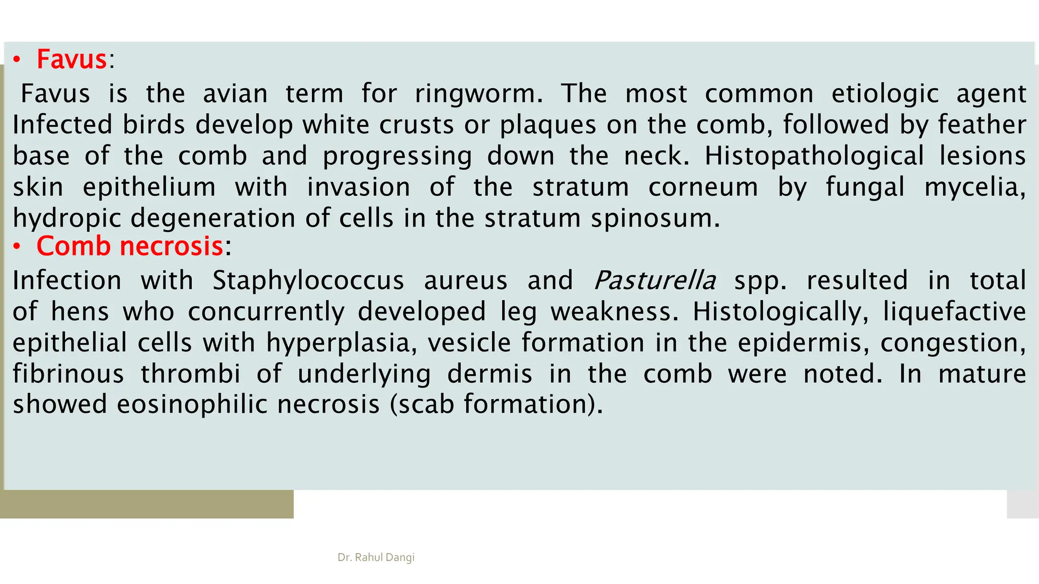 Types of chicken combs.pptx | Skin and Dermatology | Diseases and ...