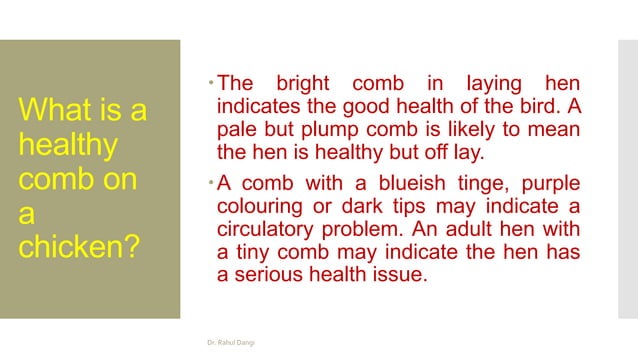 Types of chicken combs.pptx | Skin and Dermatology | Diseases and ...