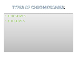 Types of chromosomes and special forms of chromosomes | PPTX ...