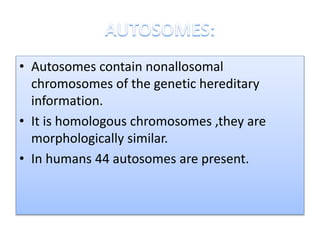 Types of chromosomes and special forms of chromosomes | PPTX ...