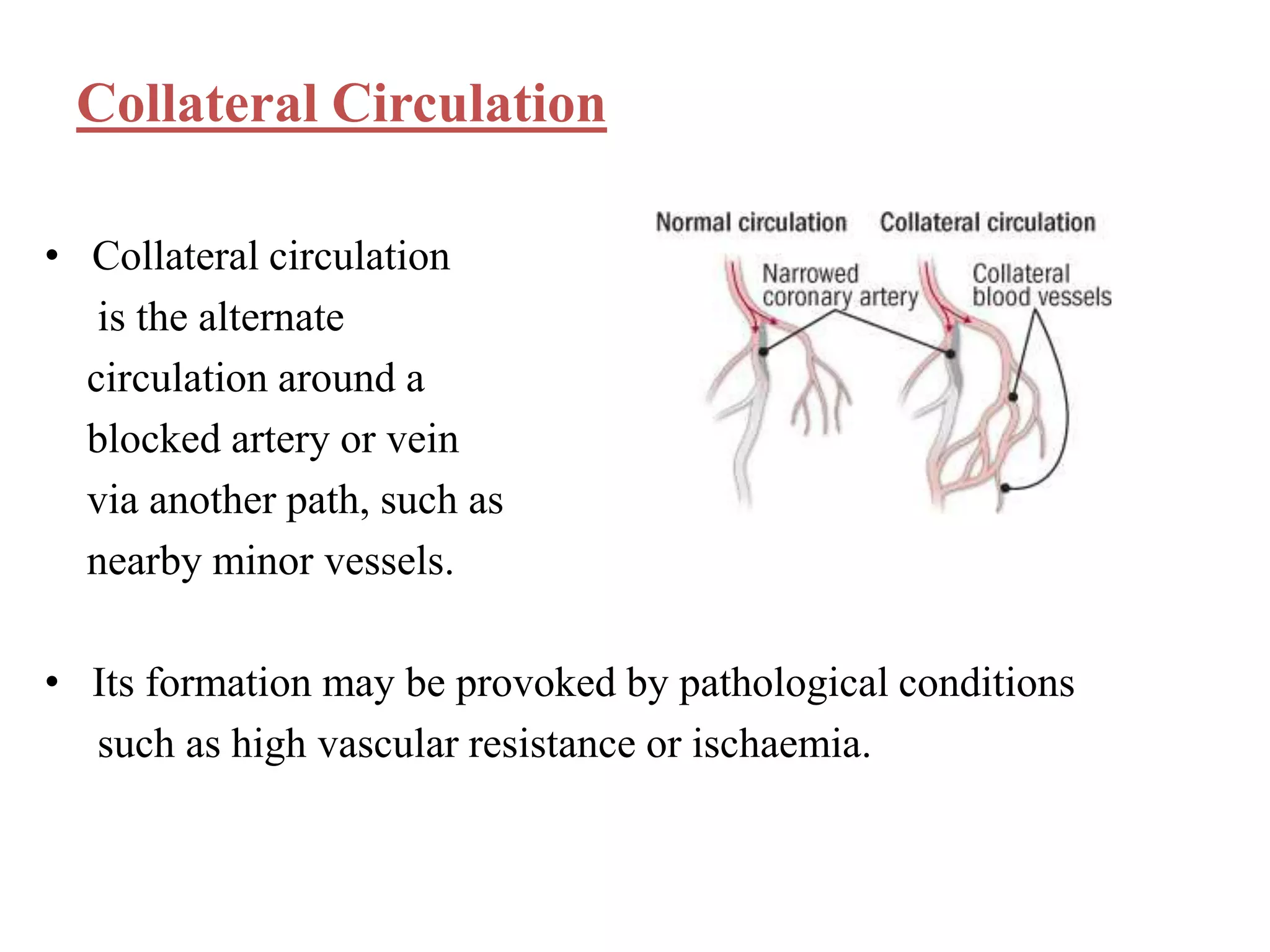 Types of circulation | PPTX