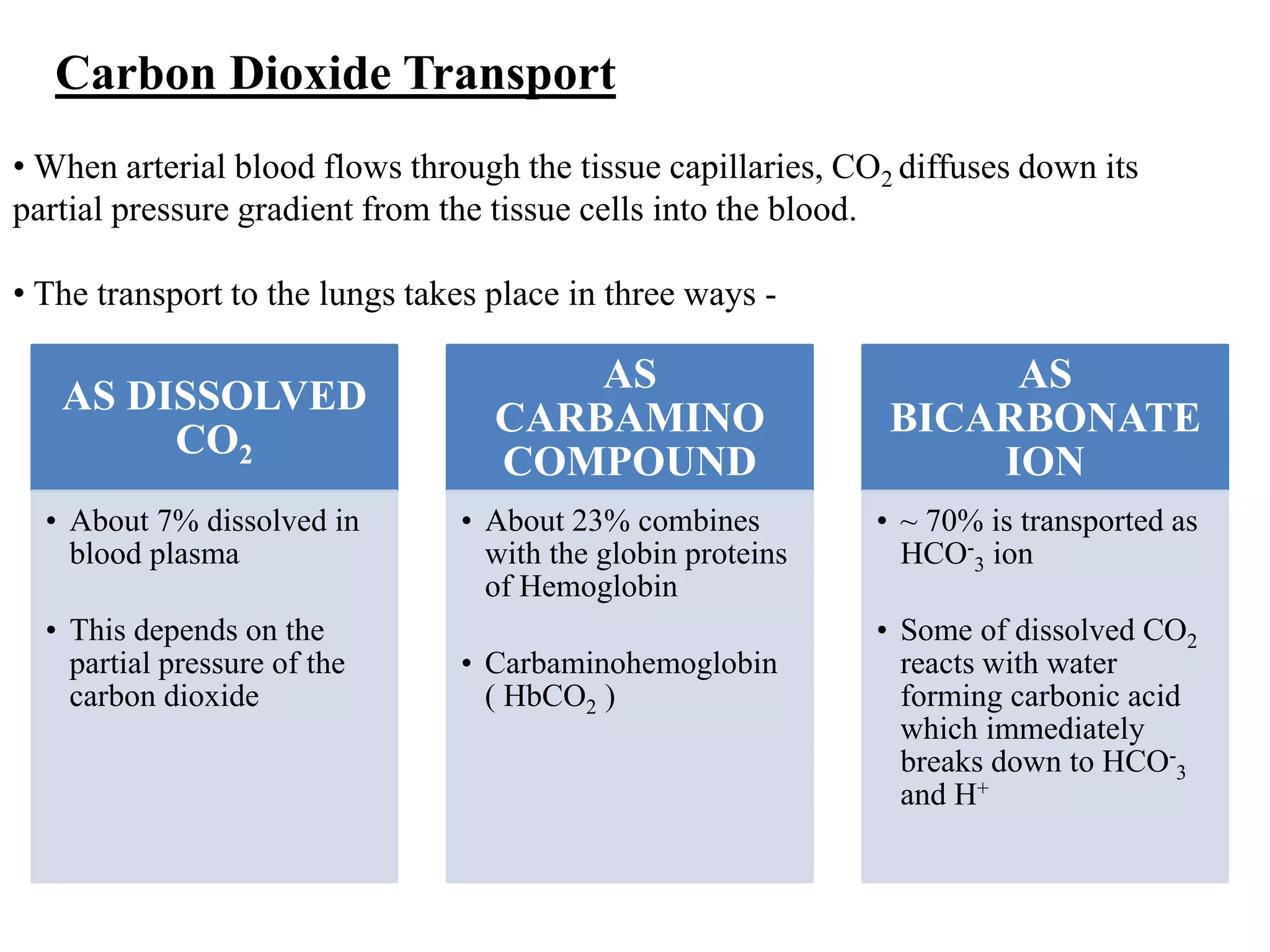 Types of circulation | PPTX