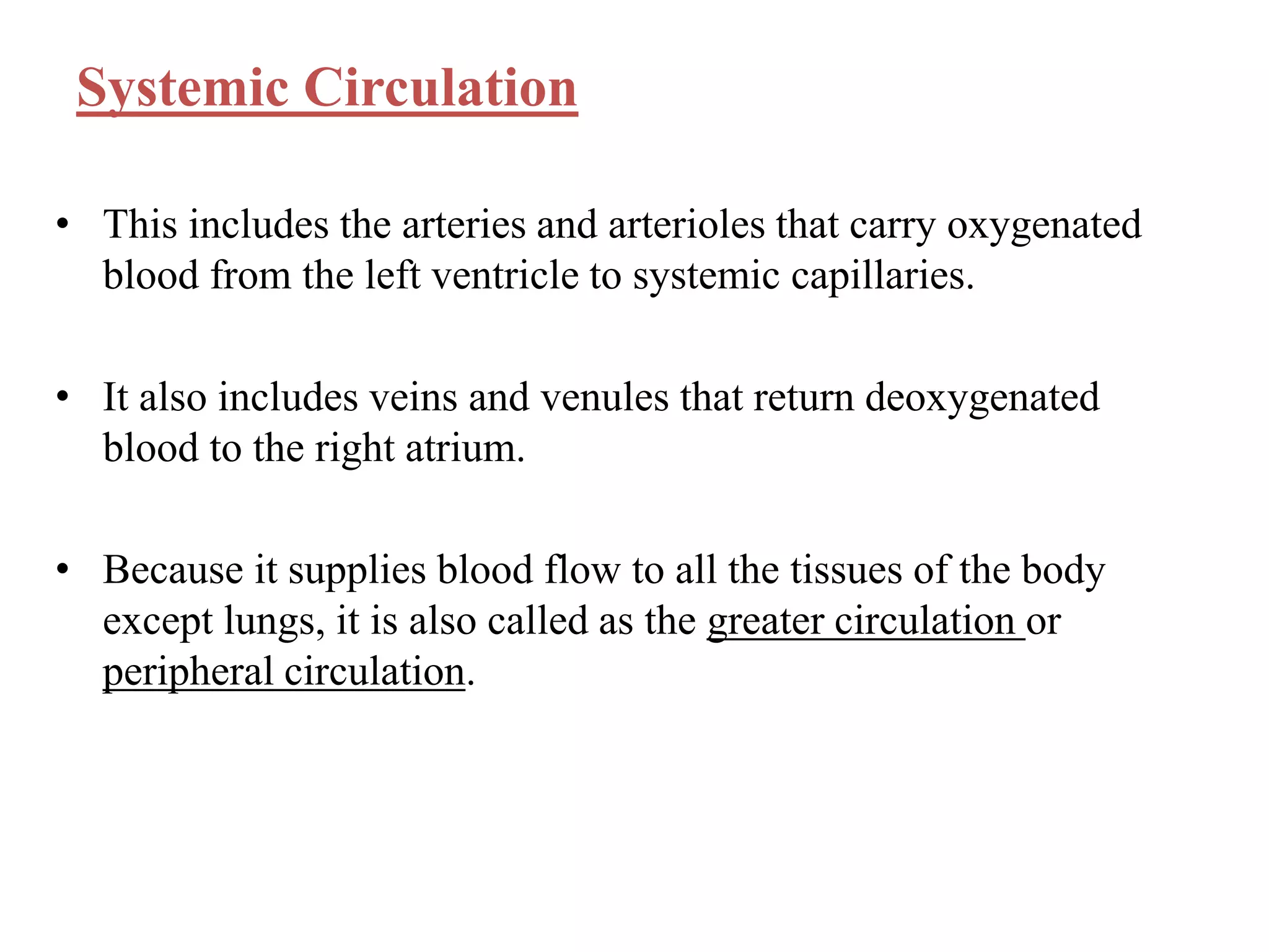 Types of circulation | PPTX