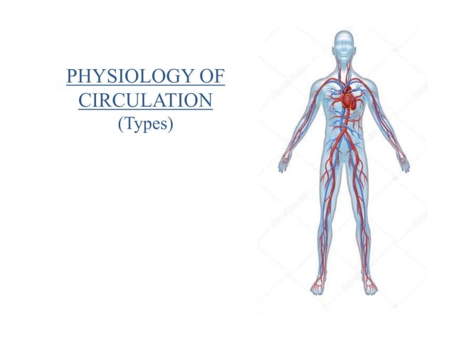 Types of circulation | PPTX