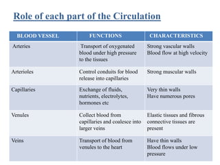 Types of circulation | PPTX
