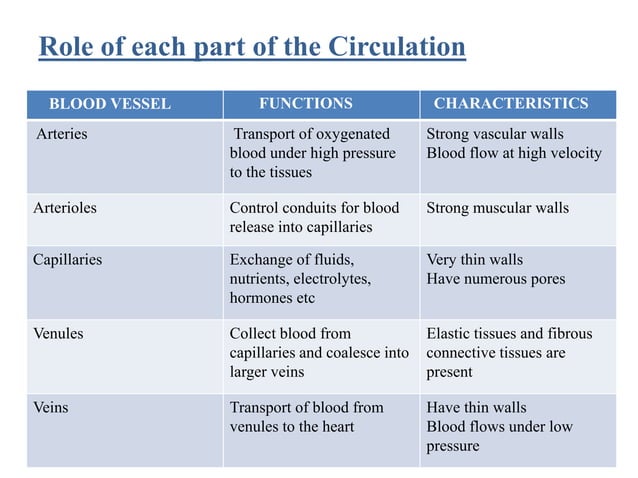 Types of circulation | PPTX