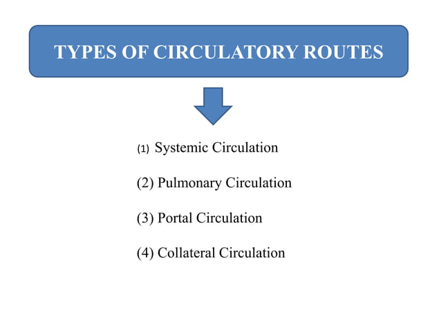 Types of circulation | PPTX