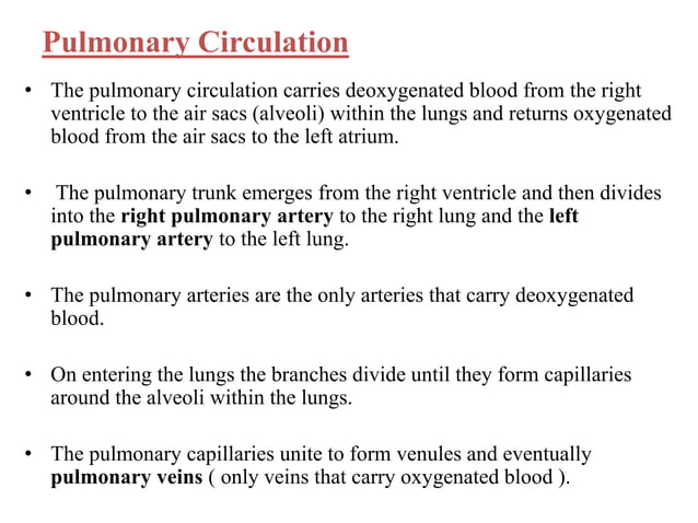 Types of circulation | PPTX