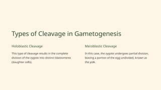 Gametogenesis The important aspect of Developmental Biology | PPT