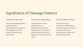 Gametogenesis The important aspect of Developmental Biology | PPT